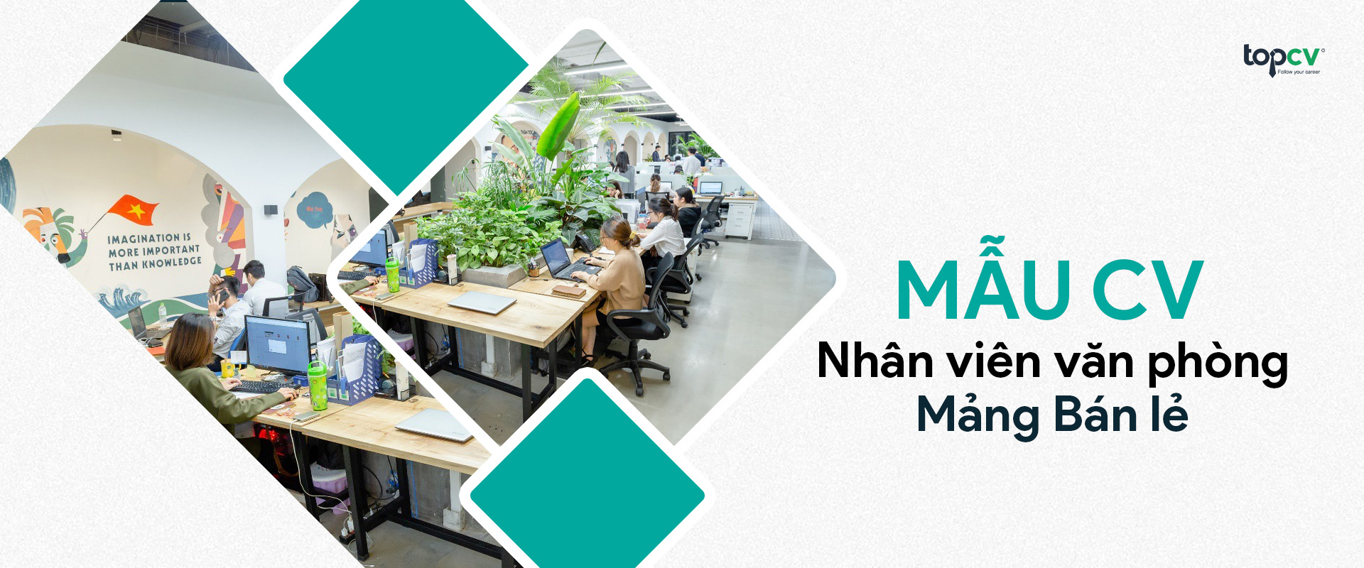 Mẫu CV nhân viên văn phòng mảng Bán lẻ các chuyên gia khuyên dùng ...